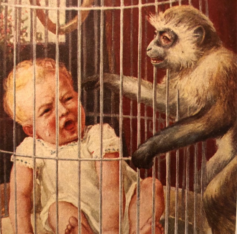 Modern Savage | WE ARE VARIOUS